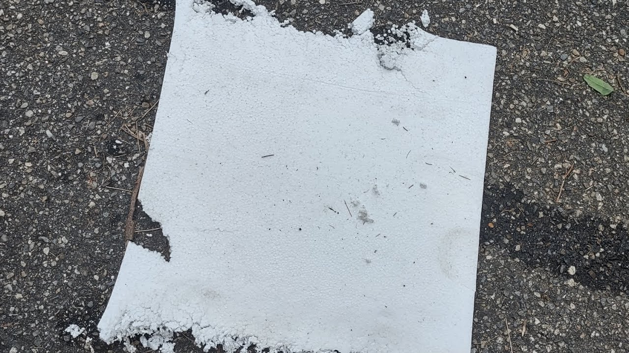 A Failed Experiment | 120 Seals, 20 Minutes - YouTube