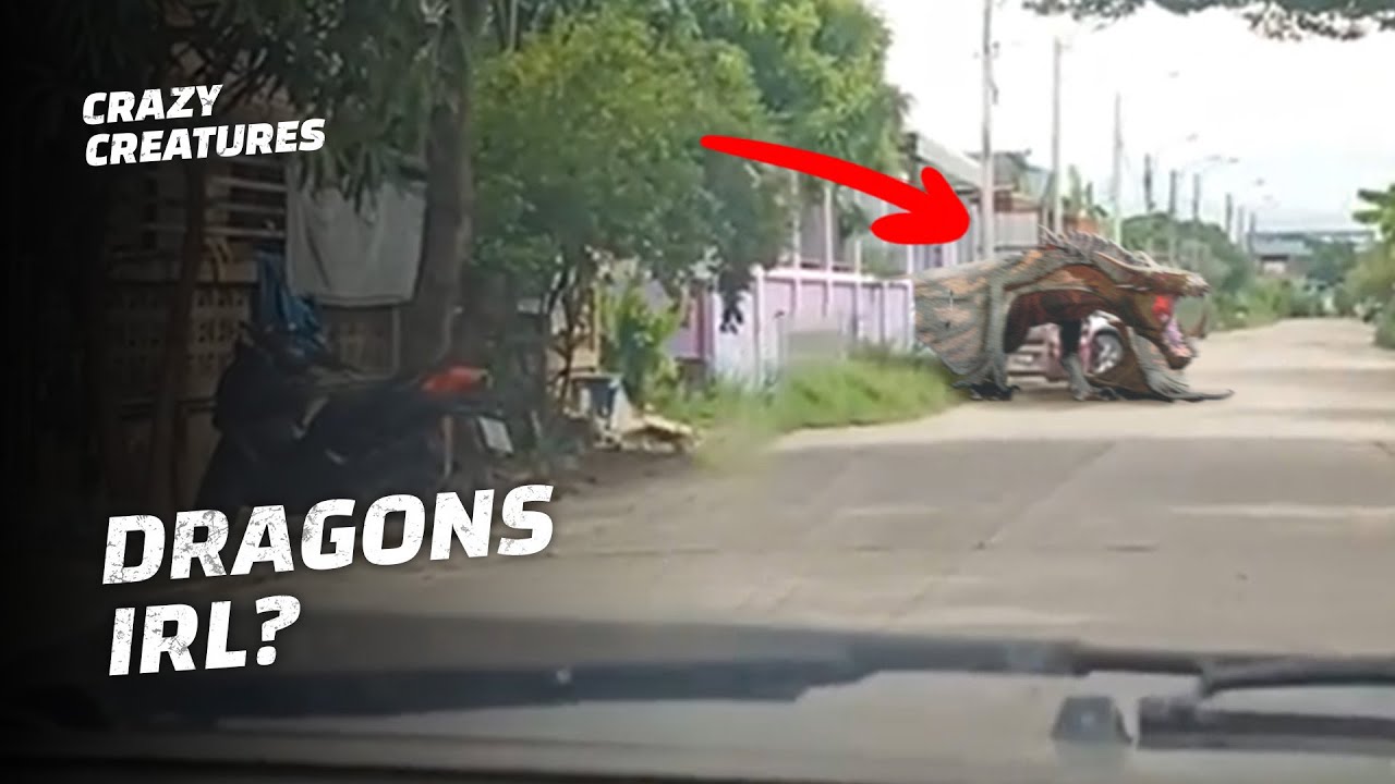 The Real-Life Dragons From House of the Dragon - YouTube