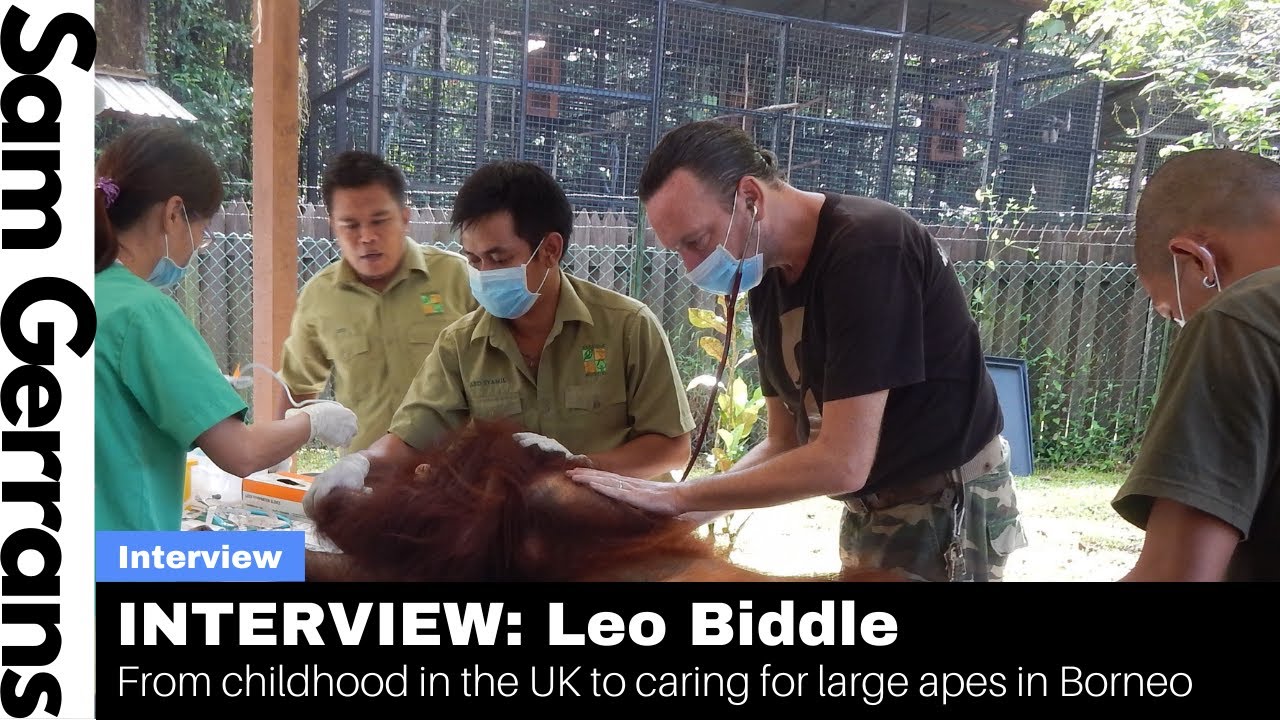 INTERVIEW: Leo Biddle — An Englishman In Borneo - YouTube