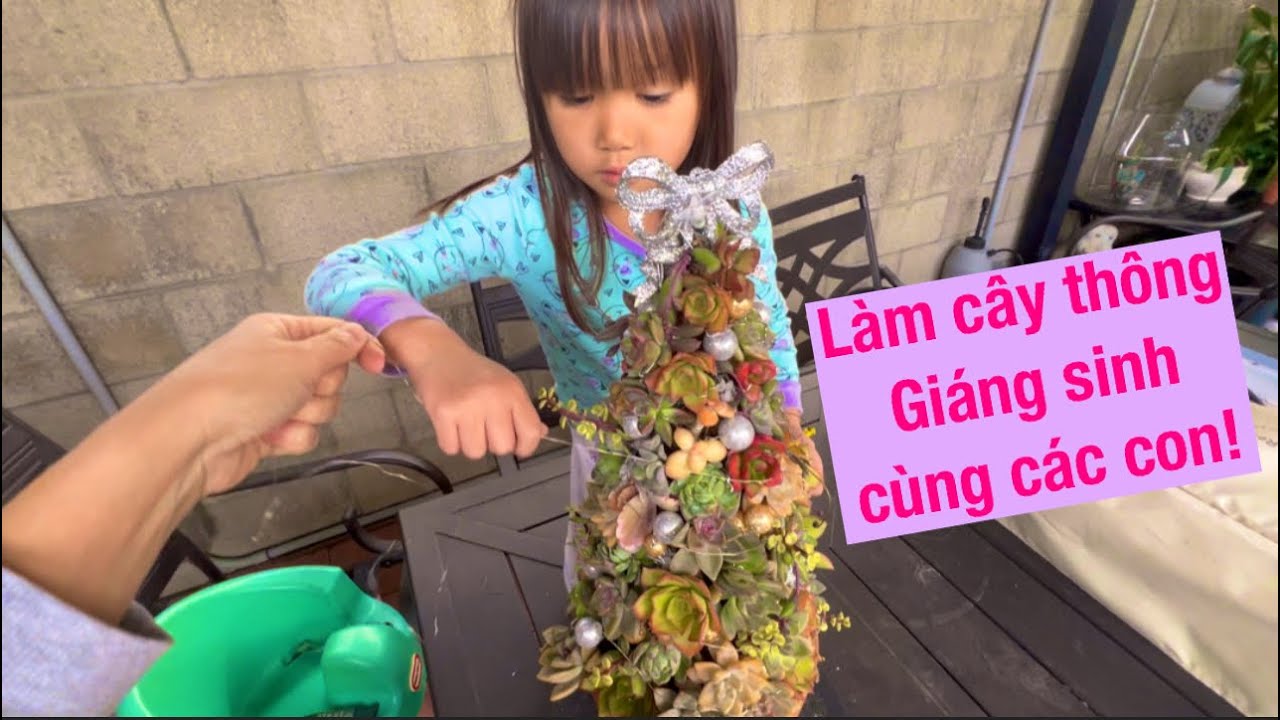 How to do succulent Christmas tree || Cách làm cây thông sen đá ...