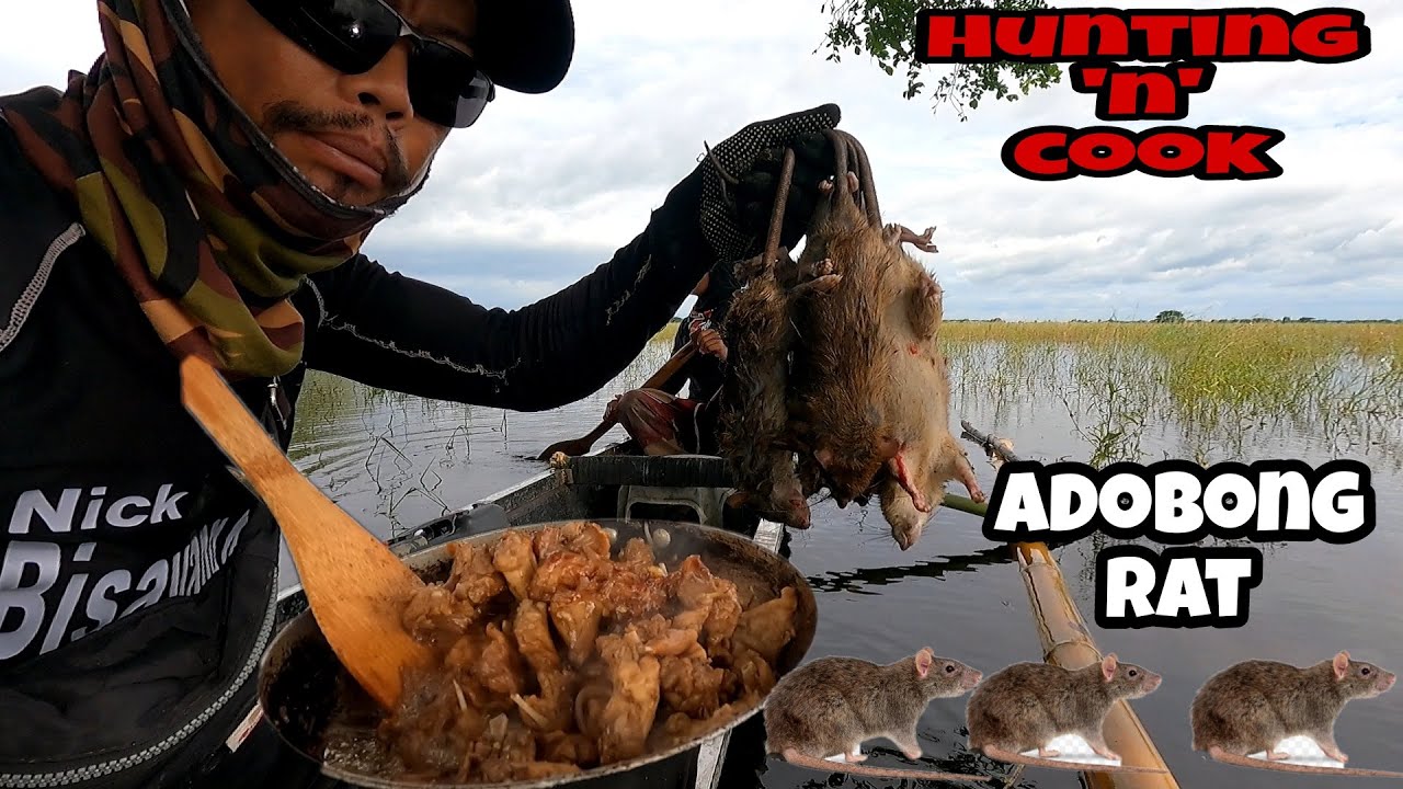 ADOBONG DAGANG BUKID | rat hunting+cook - YouTube