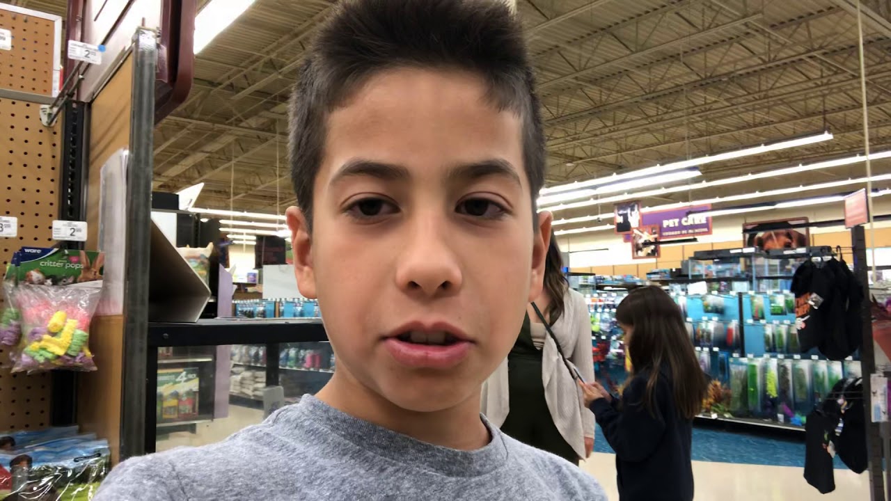 Going to Petco (Animals are cute) - YouTube