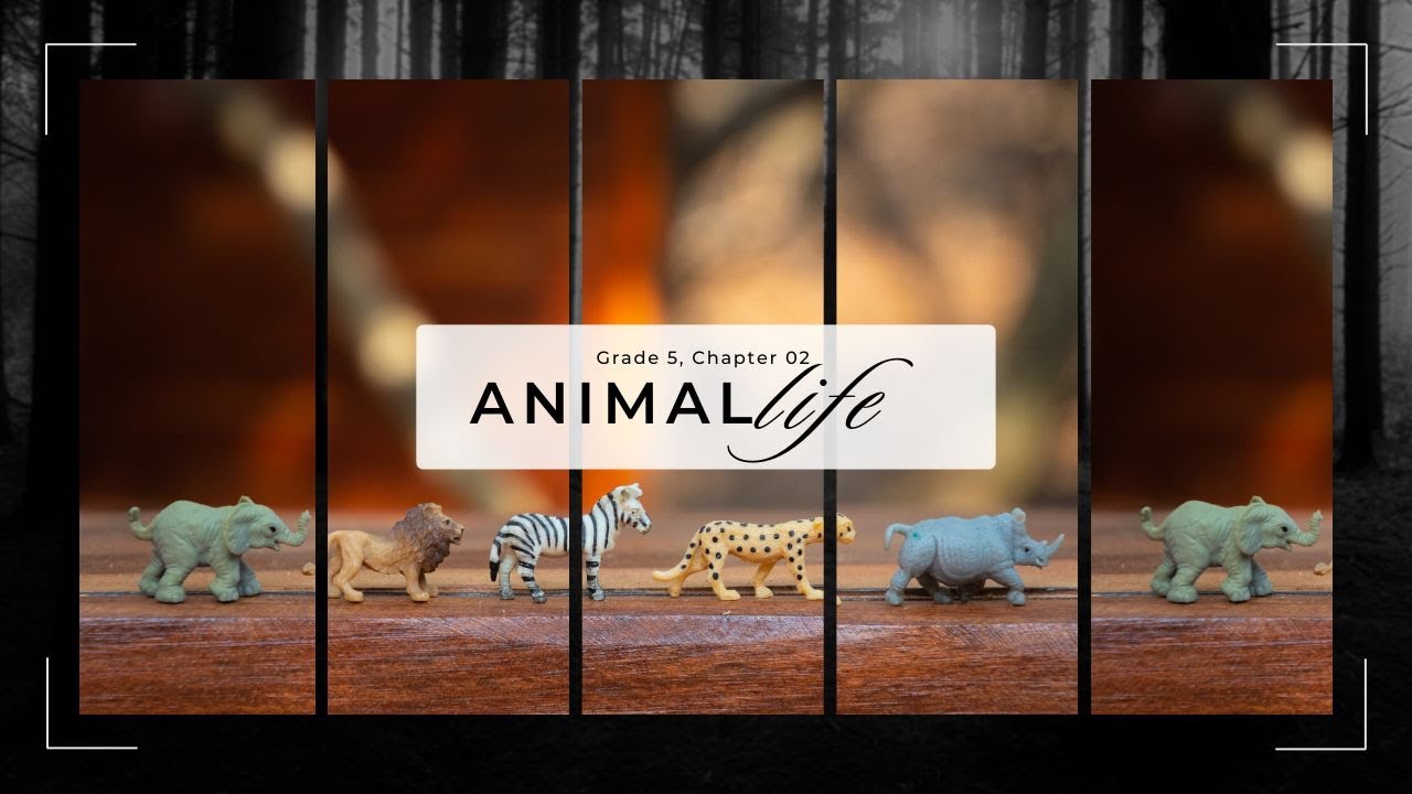 Animal life | Science class 5 - YouTube