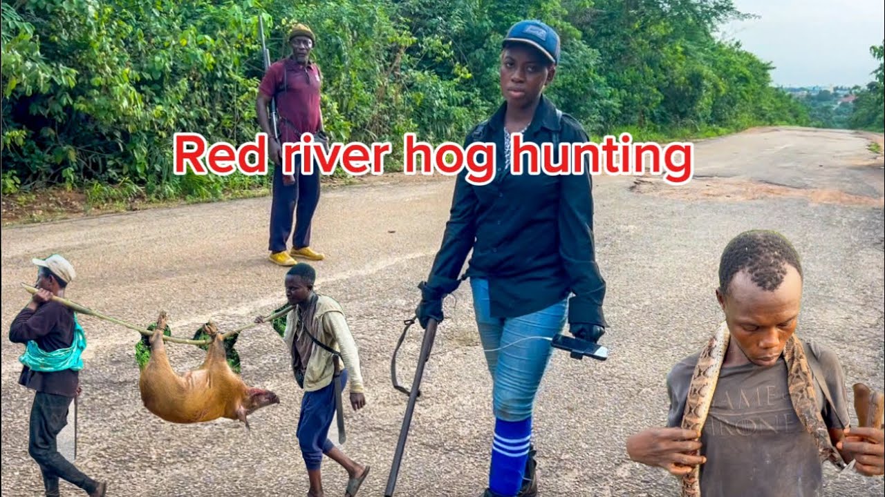 Finally we got something - Red river hog hunting - Hunting Ep55 - YouTube