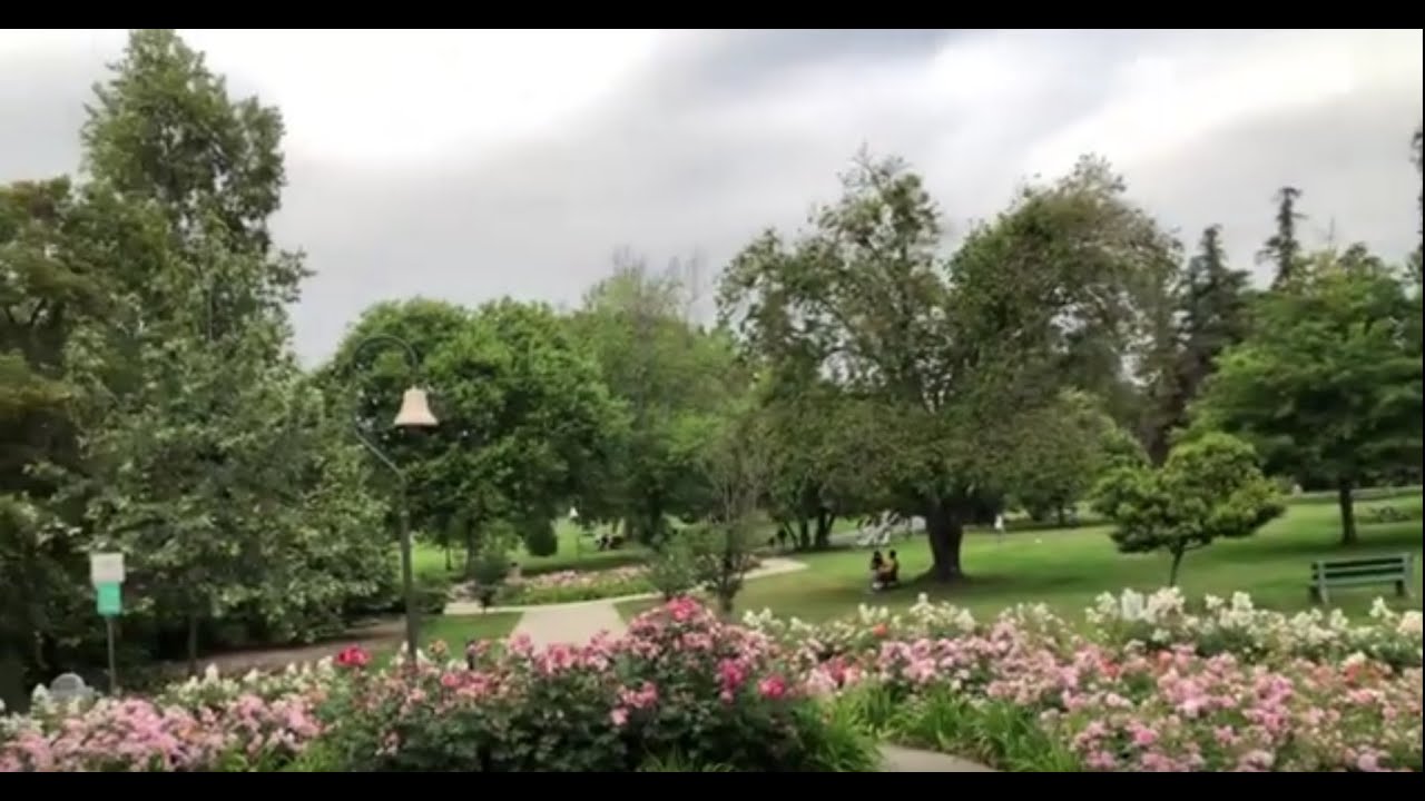 Lacy park, San Marino, Califonia//cong vien Lacy - YouTube