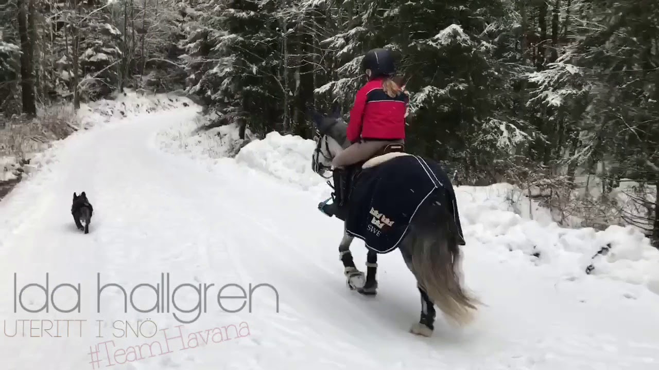 Havana / Ida Hallgren / UTERITT / Svensk snö / - YouTube