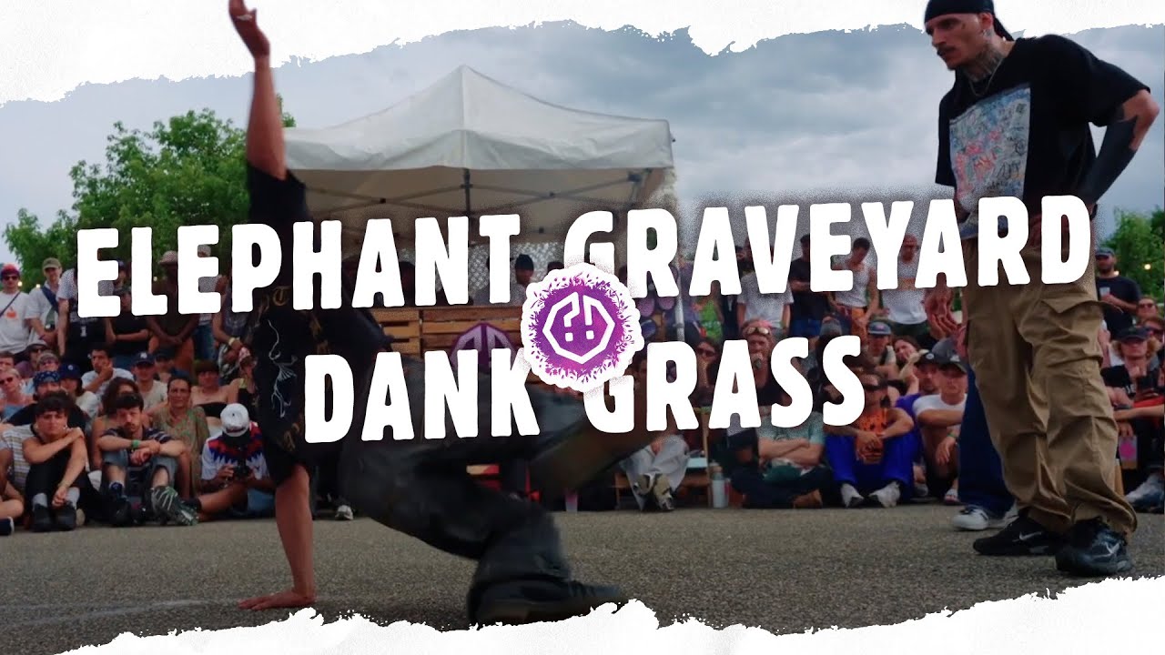 Elephant Graveyard 💐 Dank Grass⎜Top 8 Concrete footworks⎜2025 - YouTube