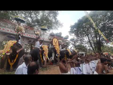 Melam Aswathyvela Kanimangalam Thrissur, Kerala - YouTube