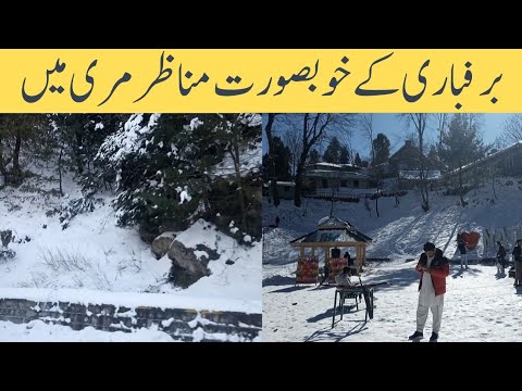 Snowfall in murree || Murree mian barf bari || Snow in murree #Snowfall ...