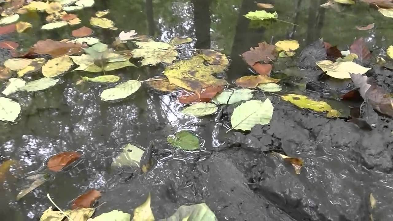 spring court mud & wet 4 - YouTube