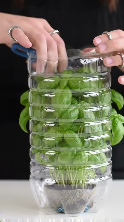 Never Kill Your Plants Again! 🌱 - YouTube