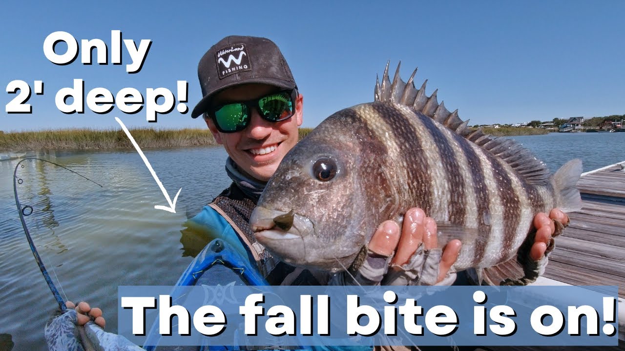 The Biggest Fish Were Up Shallow - Crazy Fall Action! - YouTube