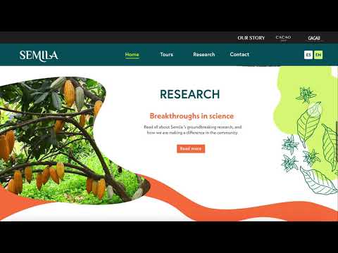 Cacao 360: Websites