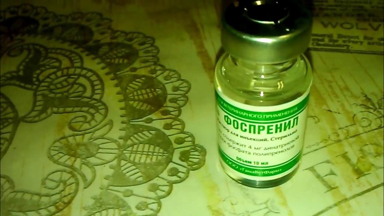 Фоспренил! вместо антибиотиков для птицы. - YouTube