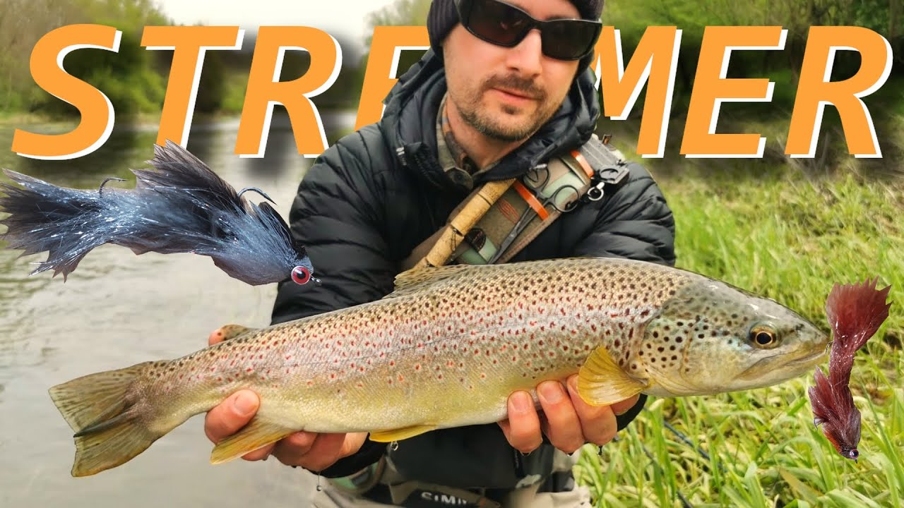 Fliegenfischen auf Forellen mit Streamer - YouTube