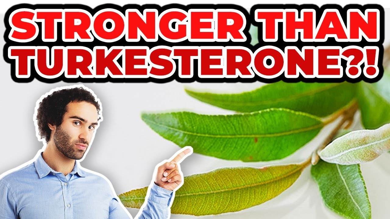 NEW Natural Anabolic? Lemon Myrtle Extract Explained - YouTube