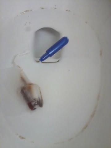 flushing a tampon at friendly's - YouTube