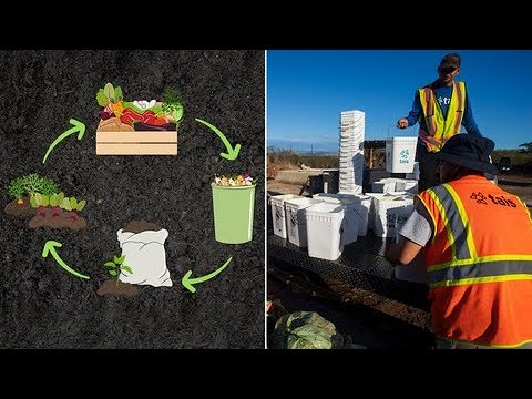 De la cocina a la tierra: así crean composta en Puerto Rico - YouTube