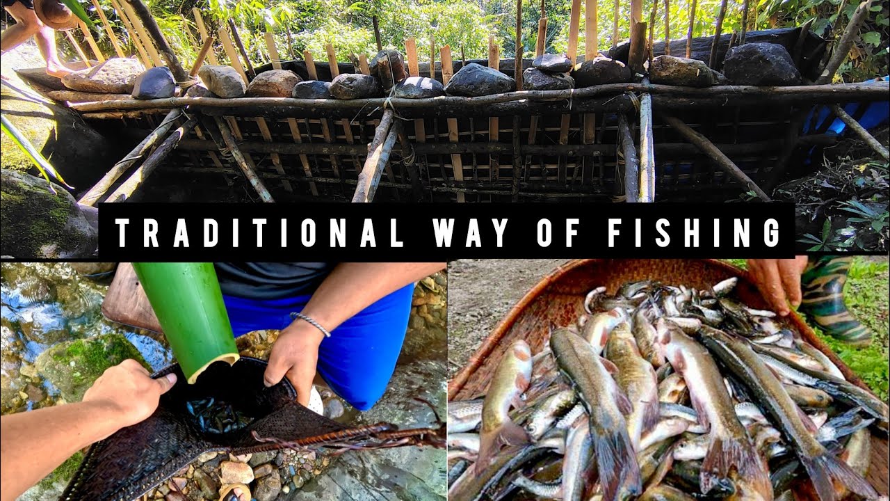 Traditional way of Fishing in the River . - YouTube