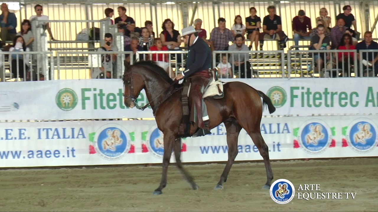 AAEE Italia – Campionato Italiano Doma Vaquera 2018 – 3° Tappa – Marco ...