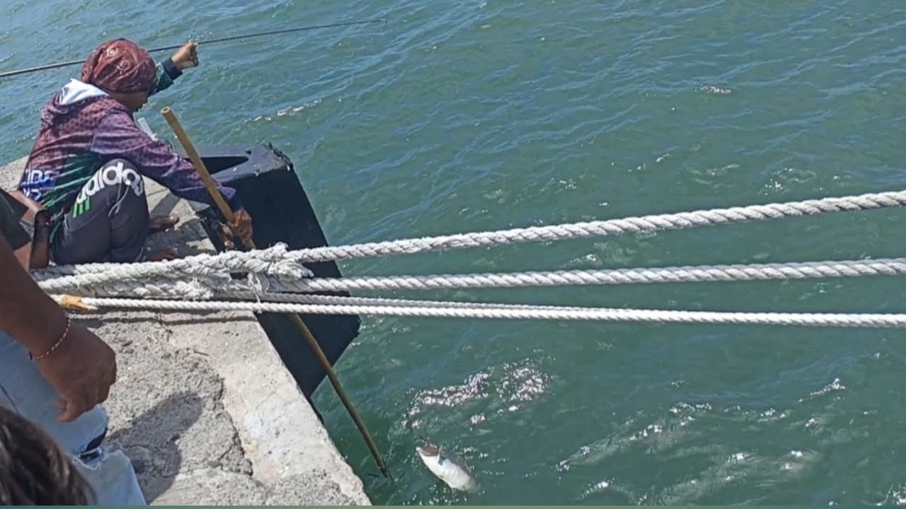 Mancing Di Dermaga tanjung benoa bali - YouTube