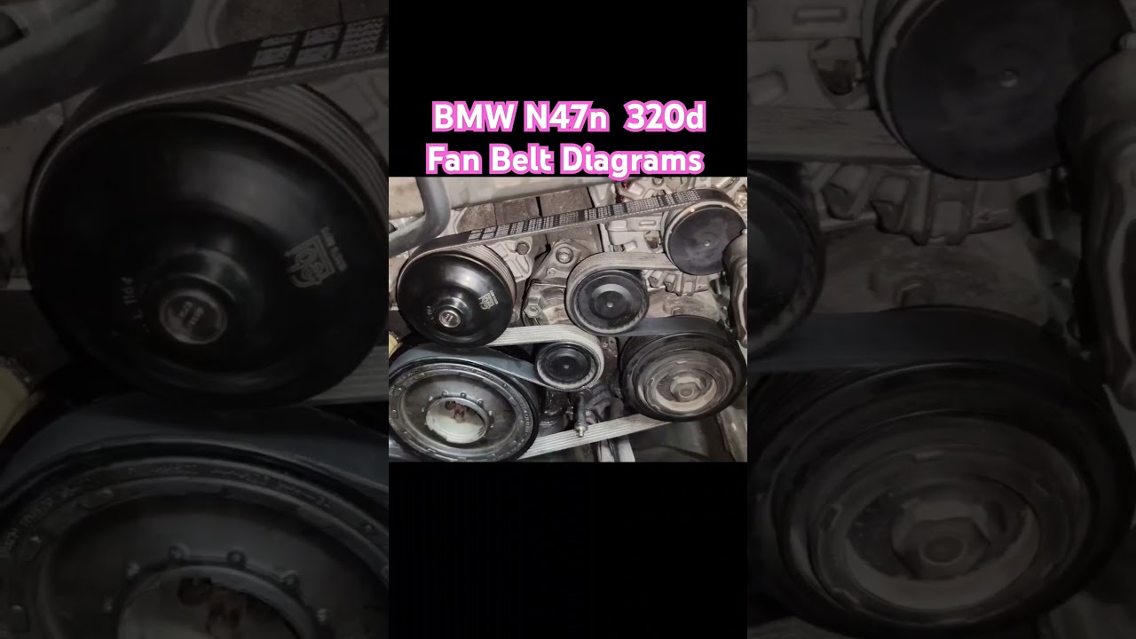 320d Belt Diagram