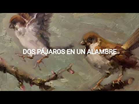 Dos pájaros en un alambre [Two Birds • Regina Spektor ]