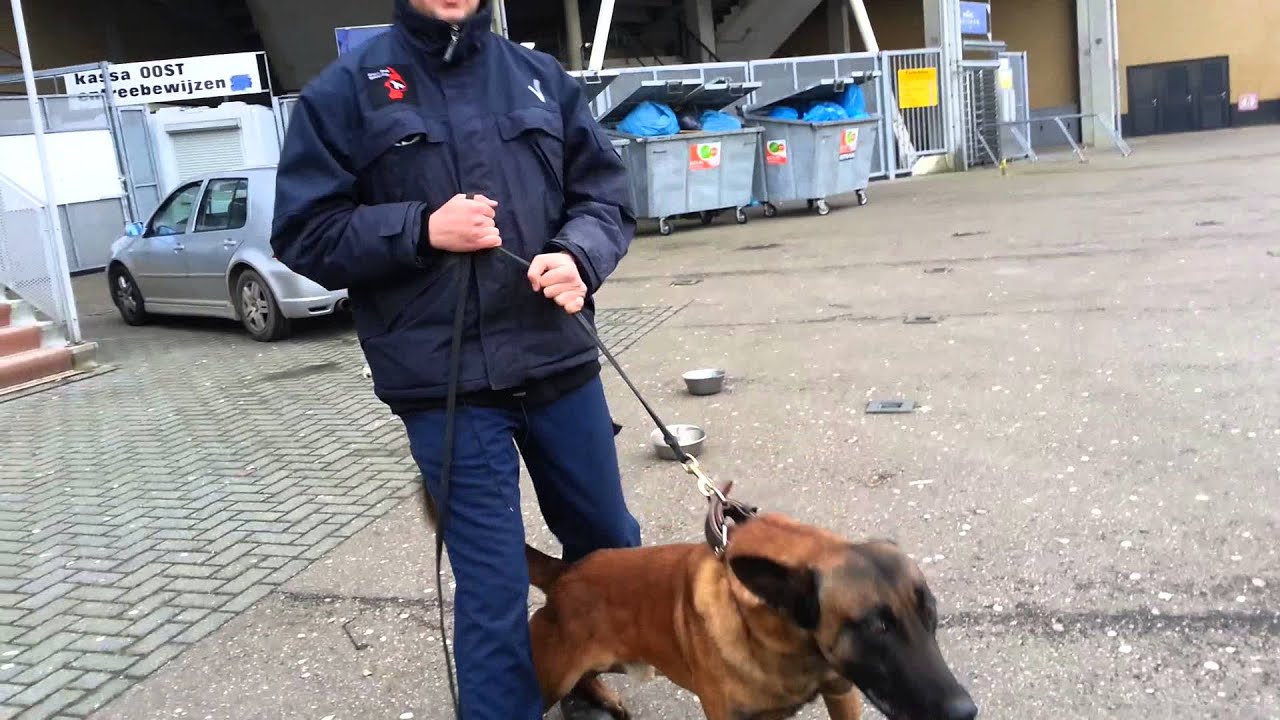 praktijk training Ricco R.Snippe buiten. - YouTube