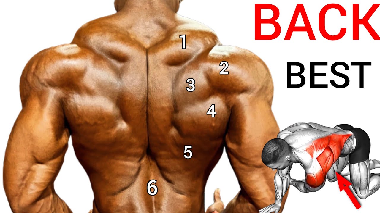 Top 7 Best Exercises Back Workout to Build Big Back - YouTube