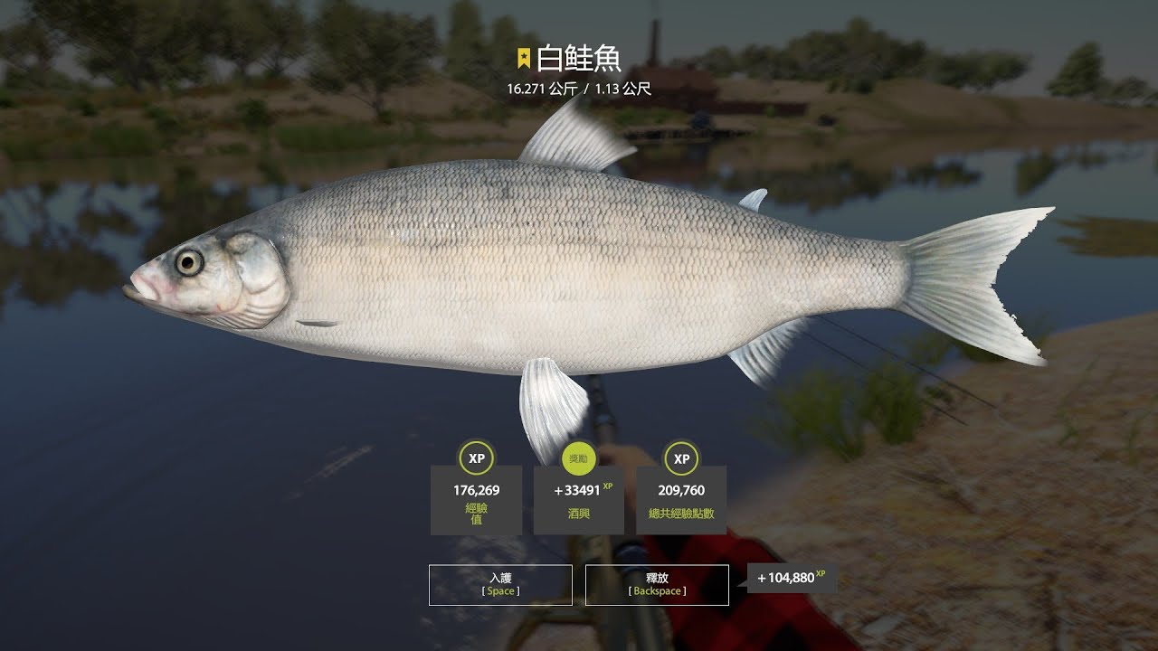 Russian Fishing 4｜Akhtuba River－Trophy Beloribitsa Whitefish｜阿赫圖巴河－白鮭魚 ...
