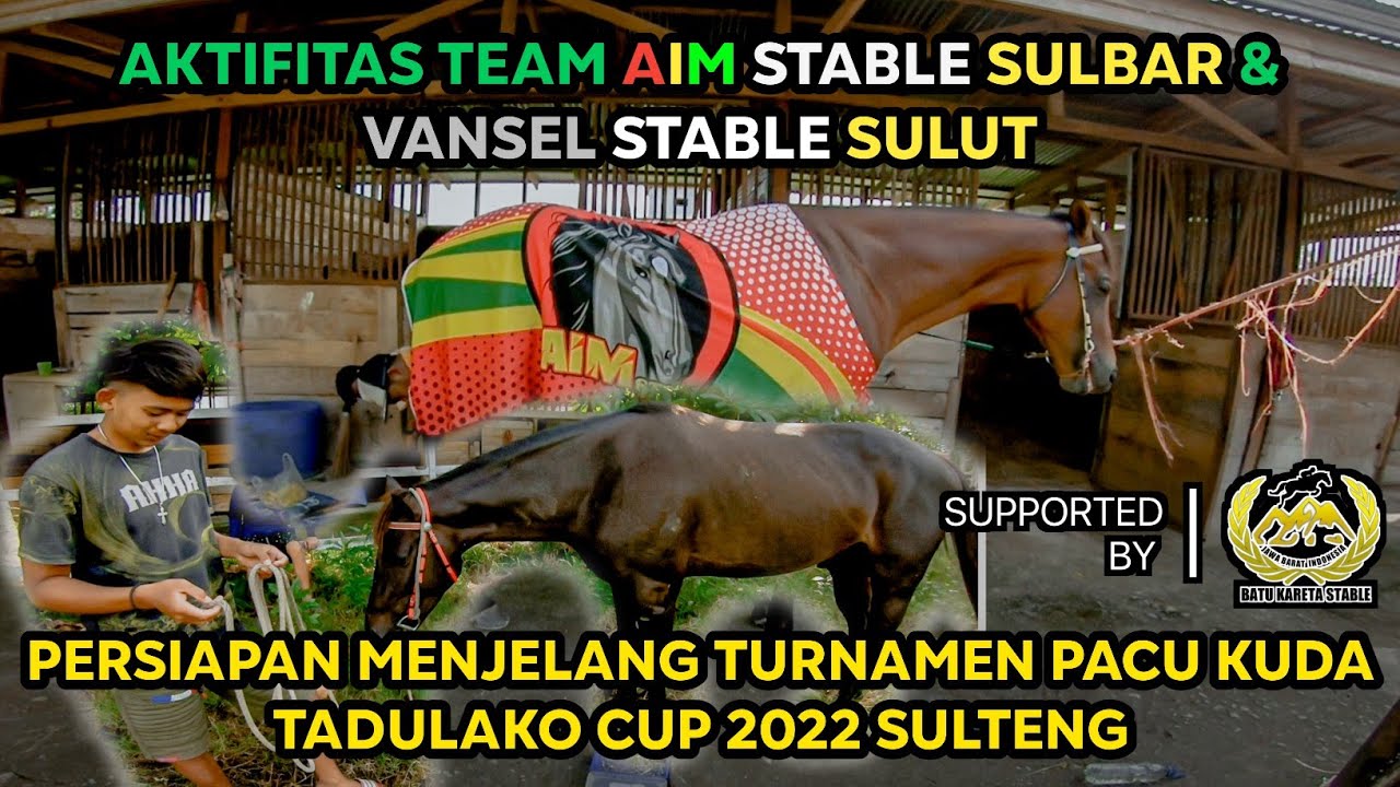 Melihat Suasana Team AIM STABLE & VANSEL STABLE|Persiapan Event Pacu ...