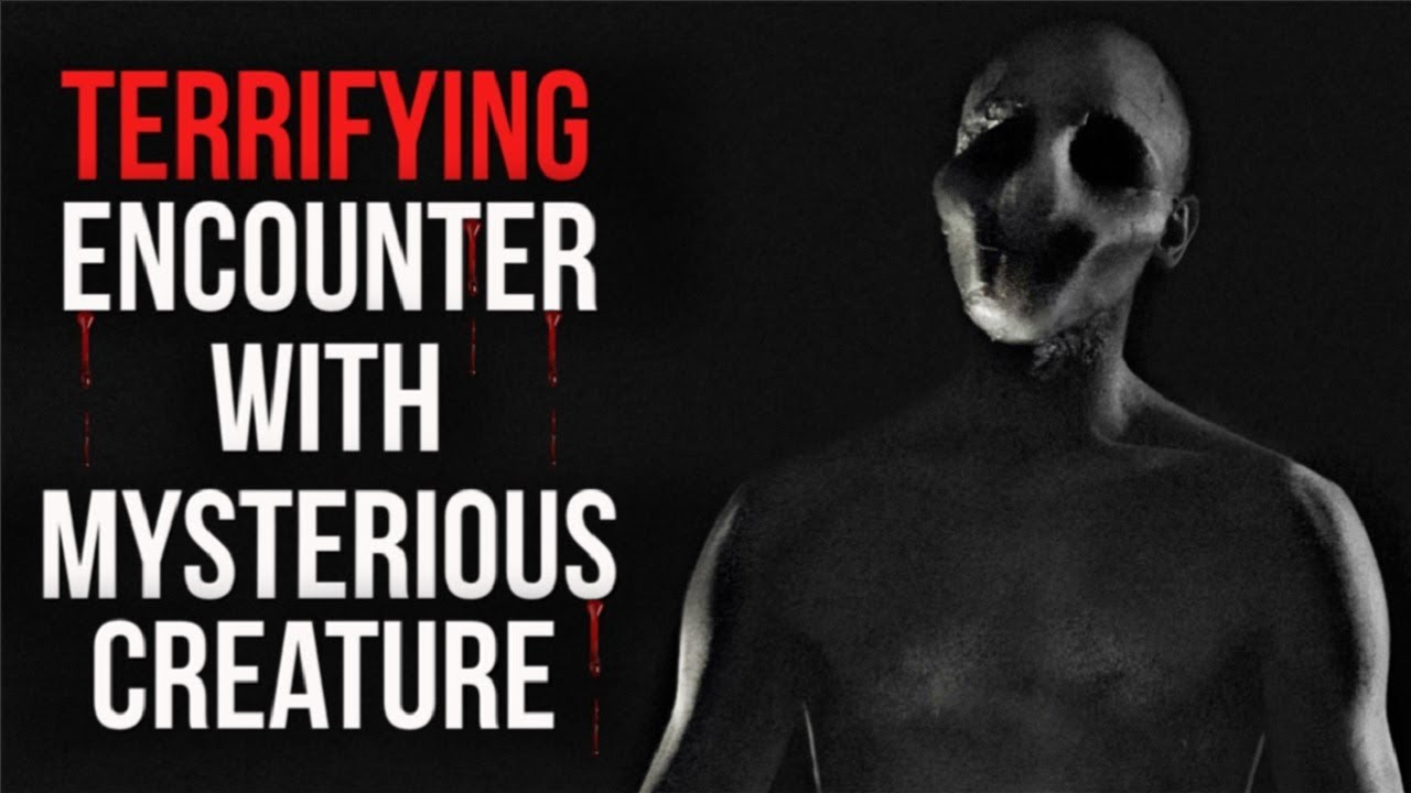 Terrifying True Encounter With a Mysterious Creature From The Woods ...