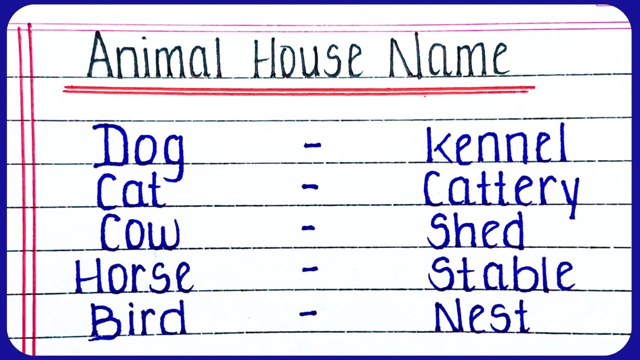 Learn About Different Animal Names And Homes | Animal Homes Name in ...