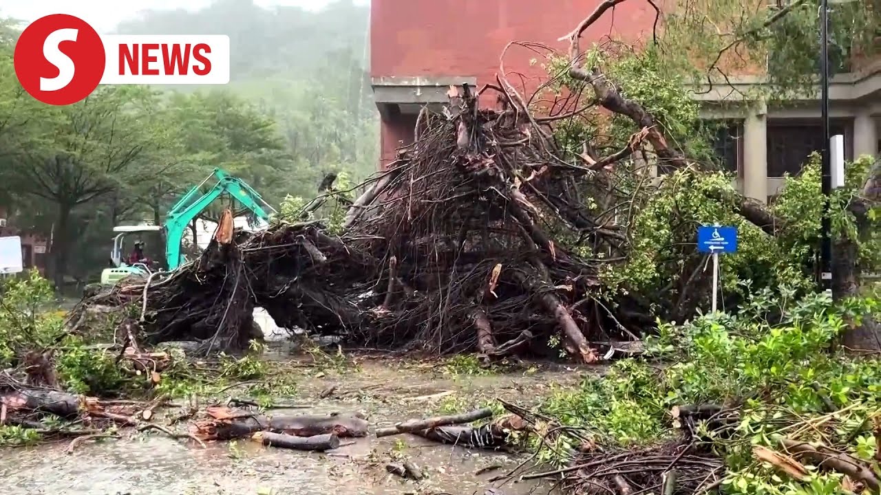Typhoon Krathon's landfall leaves trail of heavy destruction - YouTube