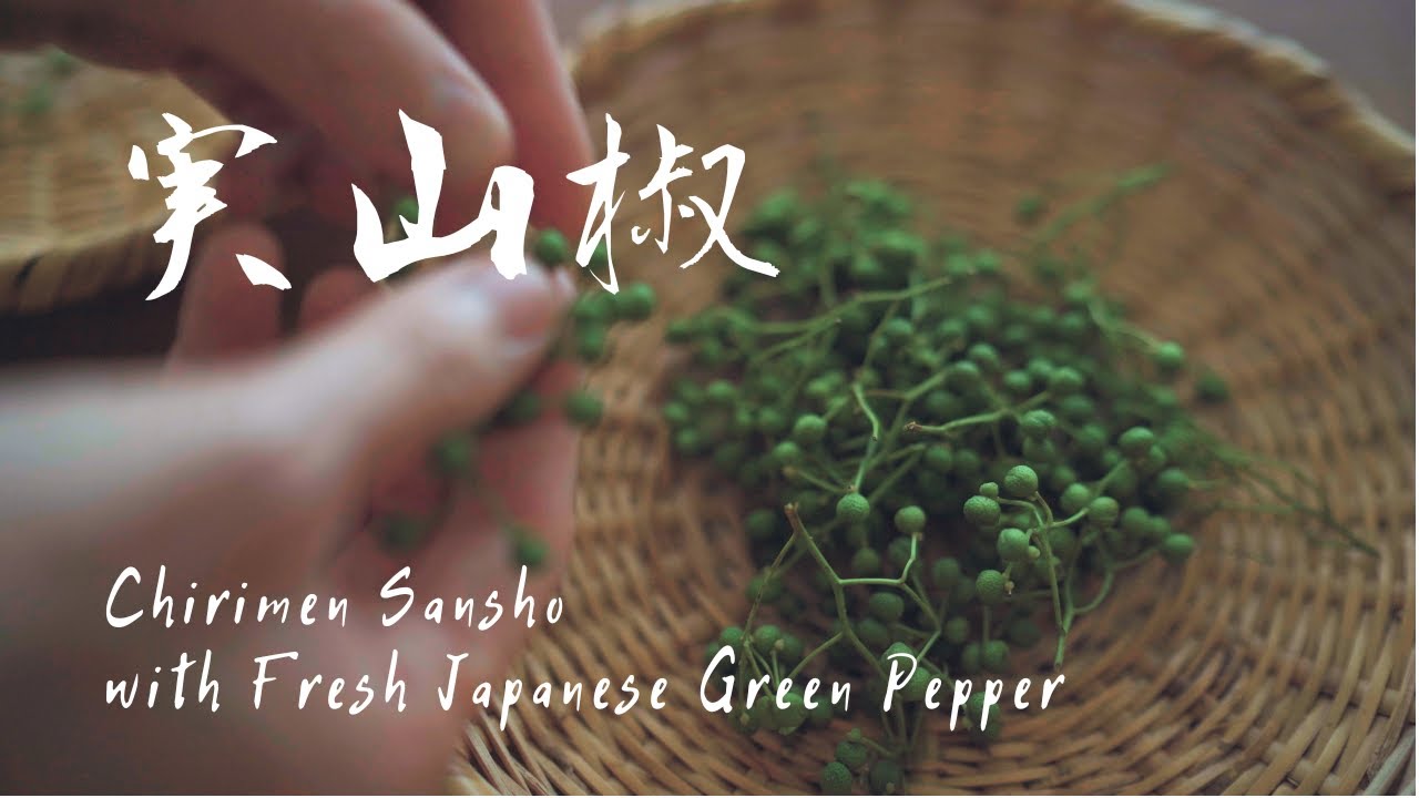 Japanese Sansho Pepper: Prepping and Recipe - YouTube