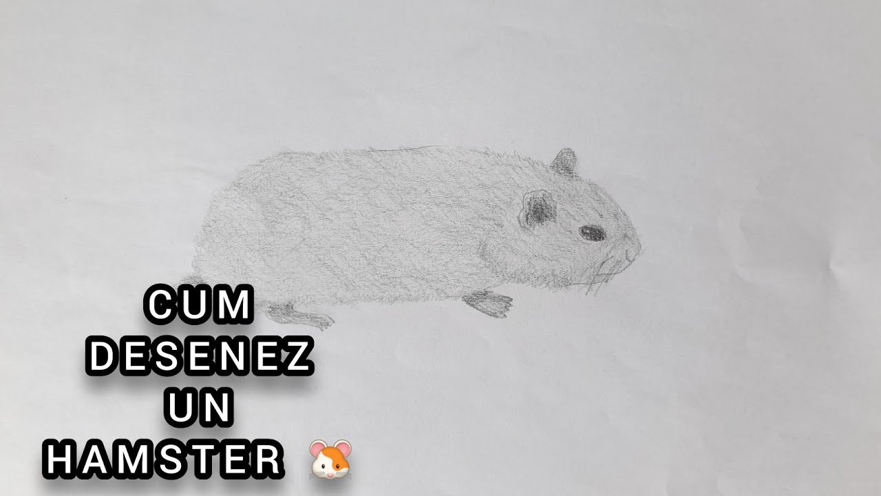 Cum desenez un Hamster 🐹 | Desene în creion | - YouTube