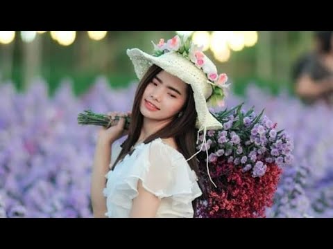 Sai Moung Harn | ယၢပ်ႇၼႃႇတႃႇလိုမ်းမႂ်း - YouTube