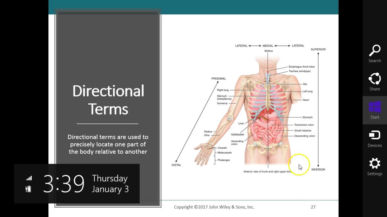 3. terminology - YouTube