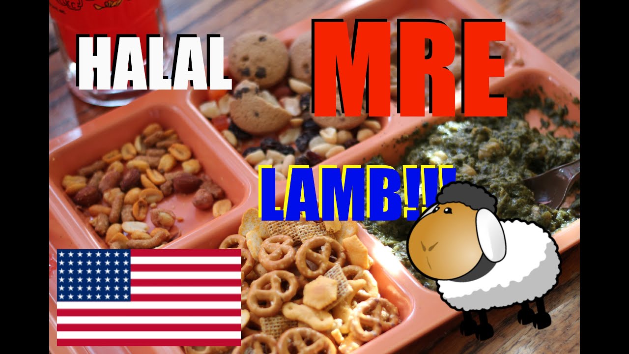 MRE REVIEW: HALAL MEAL - SAAG CHOLE WITH LAMB! HD 1080P - YouTube