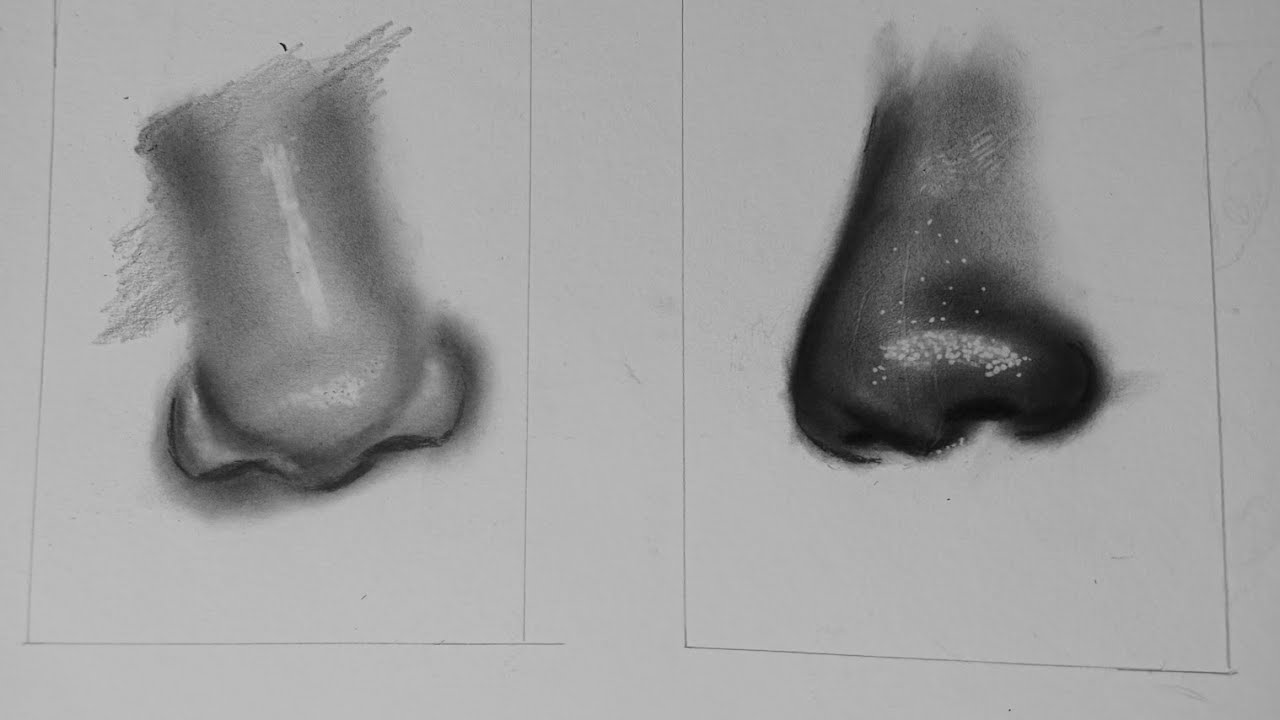 Master Nose Shading on Light vs Dark Skin Tones | Realistic charcoal ...