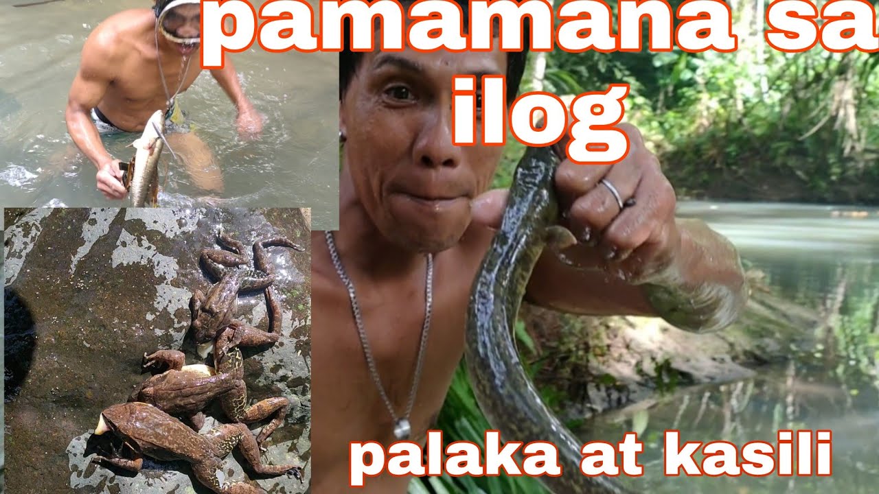pamama sa ilog palaka at kasili buhay ng walang maiulam😁 bulan sorsogon ...
