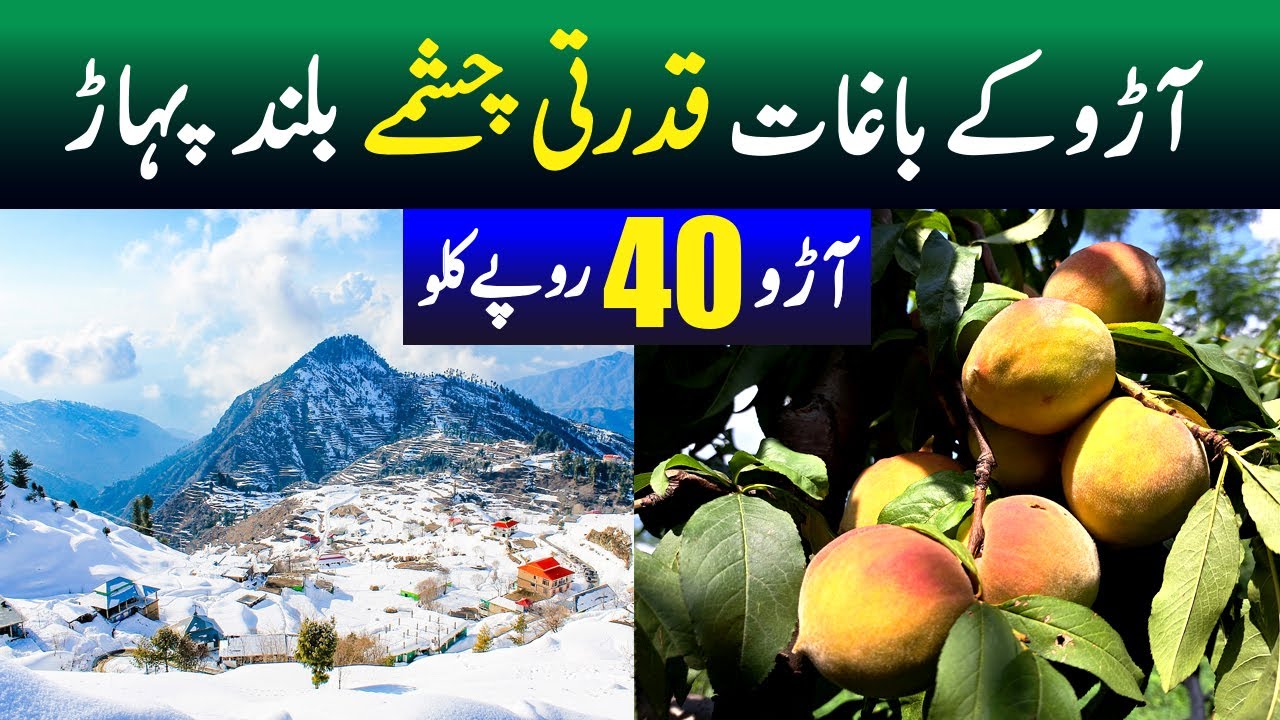 Beautiful valley of Pakistan | Peach Apple Orchards | Apple & peach ...