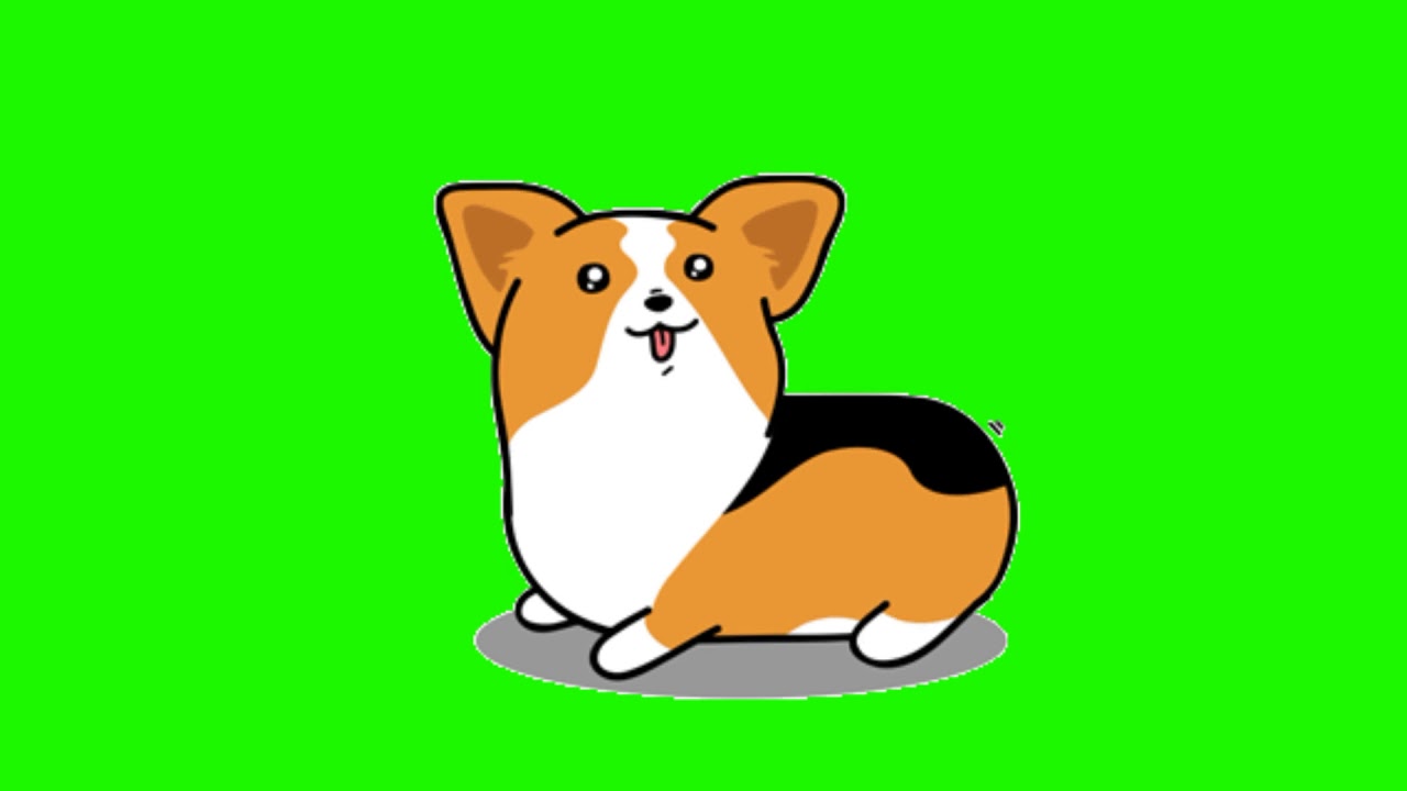 Corgi Dance Green Screen Free To Use! - YouTube