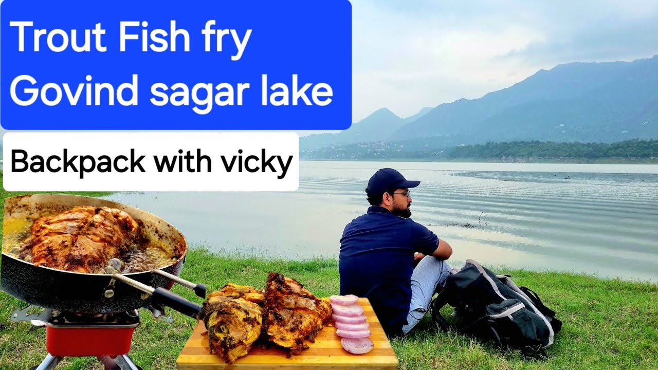 Trout fish fry at Govind sagar lake | solo camping| outdoor cooking # ...