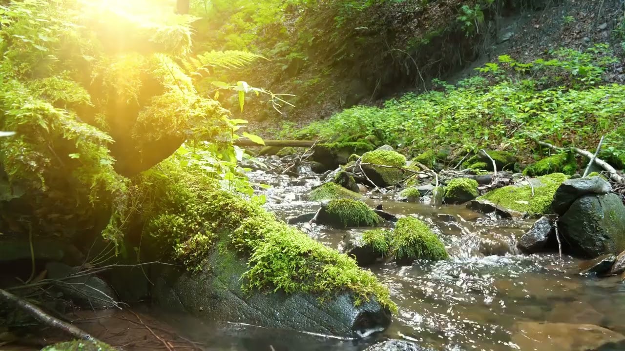 15 Minuten schöne stille Musik zum Entspannen, Meditieren und ...