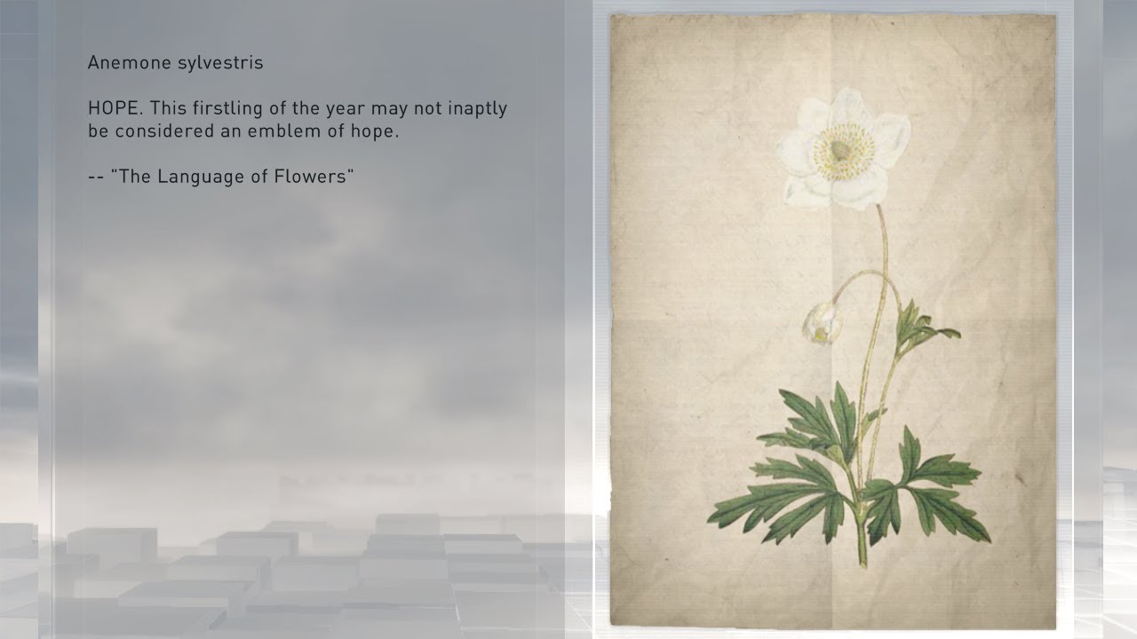 50: Assassin's Creed Syndicate - Pressed Flowers (Lambeth) - YouTube