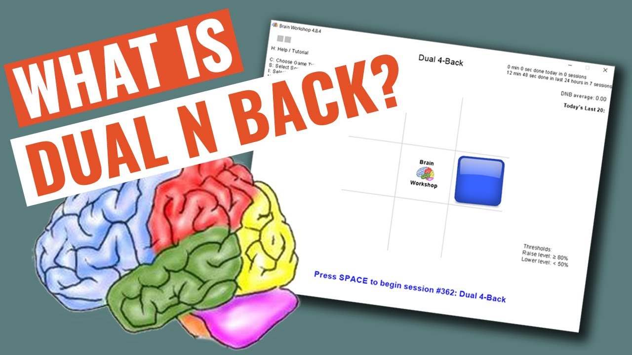🧠 What Is The Dual N Back Brain Training Experiment? (Brain Workshop ...
