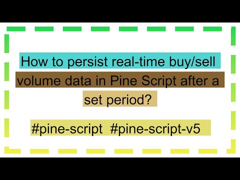 How to persist real-time buy/sell volume data in Pine Script after a set period?