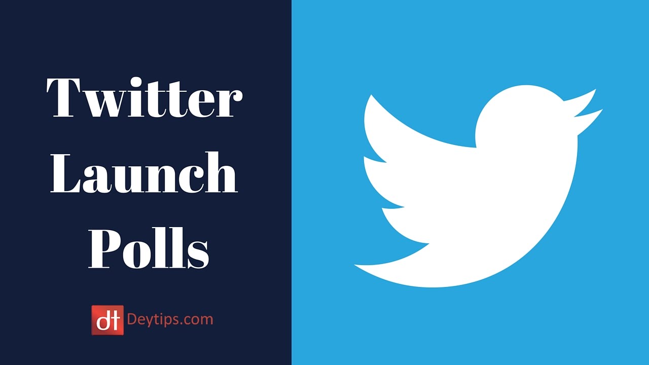 Twitter Poll | What's Up With The New Twitter Polls? - YouTube