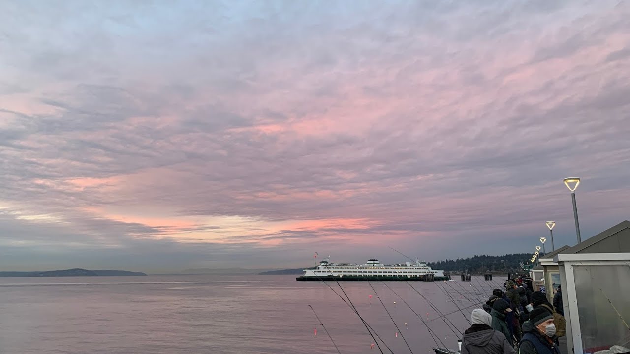 Squid fishing Seattle WA - YouTube